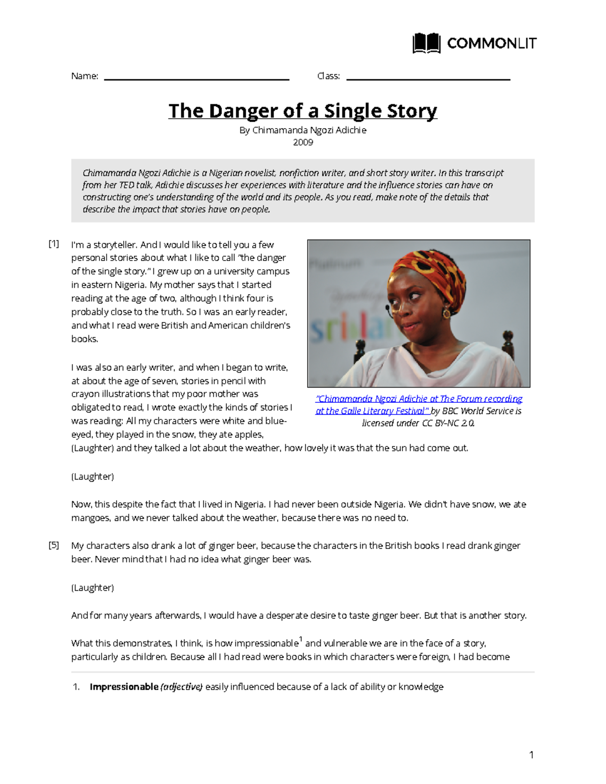 The Danger of a Single Story: Insights from Chimamanda Ngozi Adichie ...