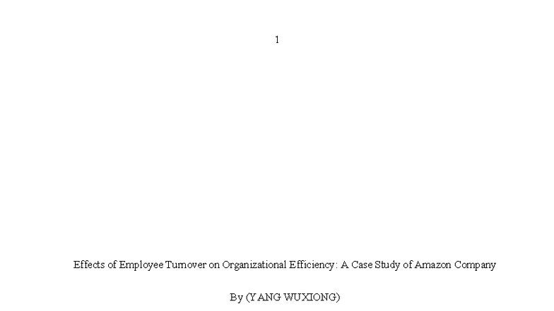 Effects of Employee Turnover on Organizational Efficiency: A Case Study ...