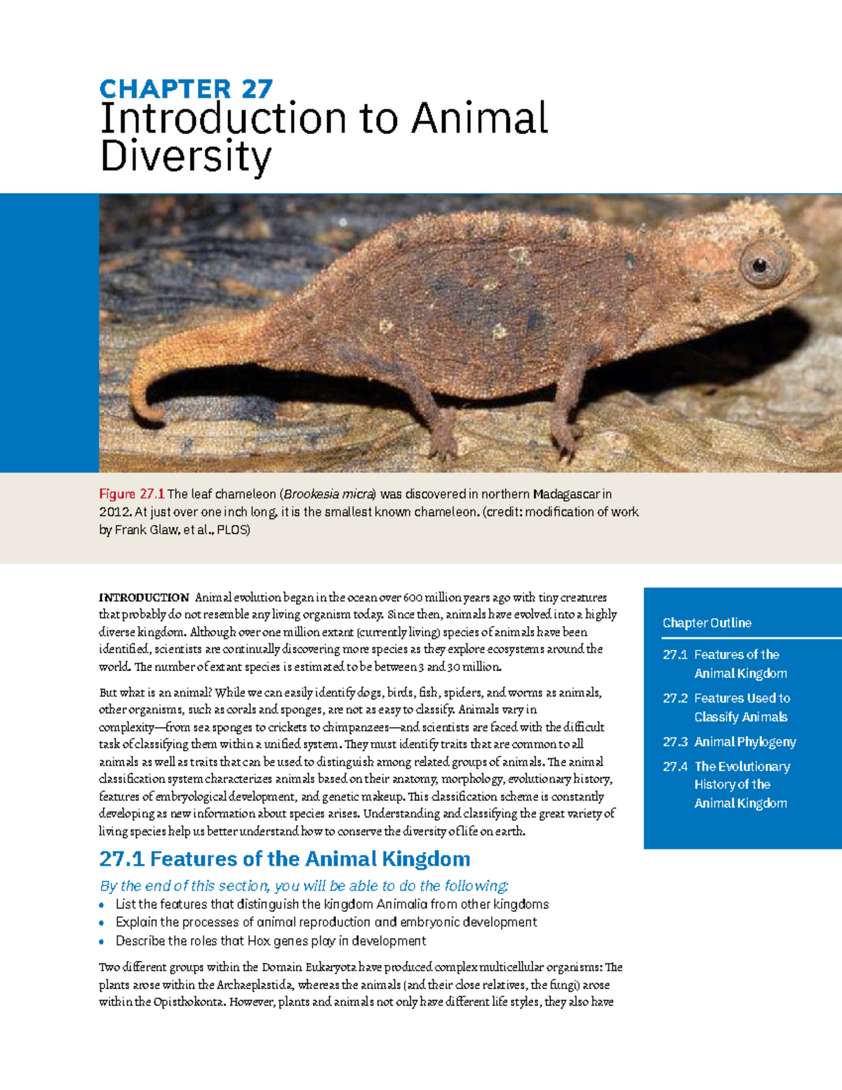 Chapter 27: Exploring Animal Diversity and Embryonic Development ...