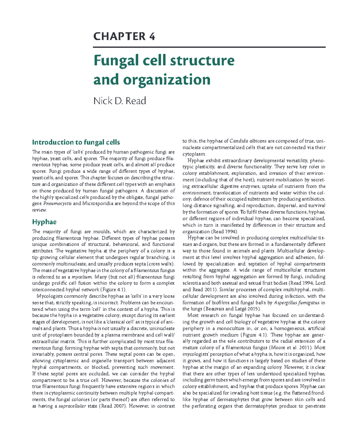 23 CHAPTER 4 Fungal Cell Structure and Organization: Key Insights - Studocu