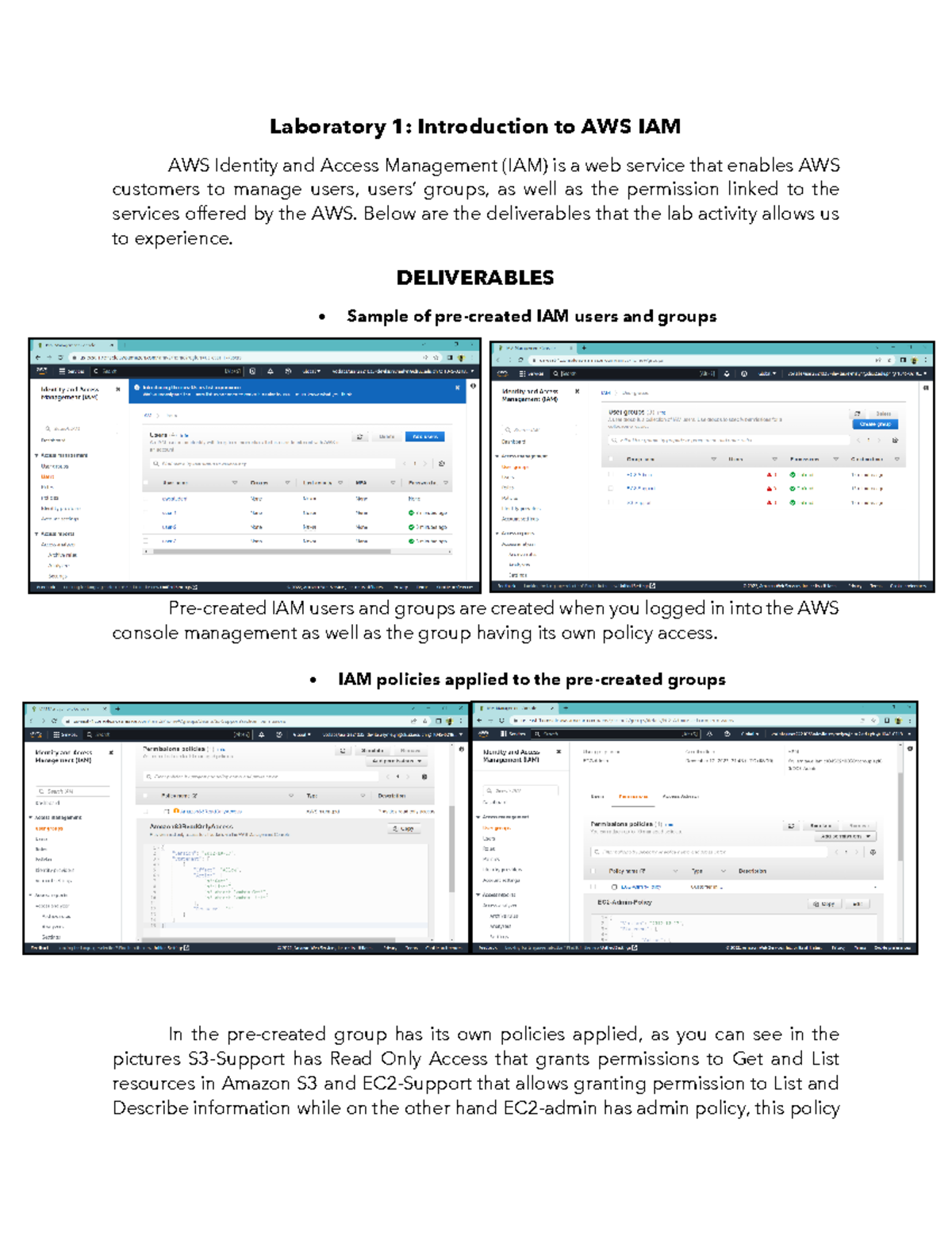 AWS IAM & VPC Lab Exercises - Introduction & Web Server Launch - Studocu