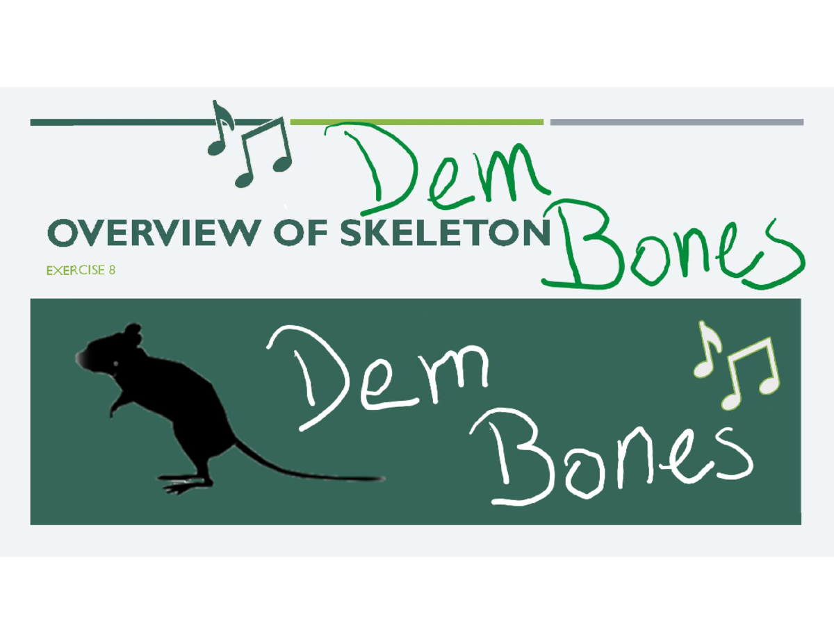 Axial Skeleton Overview: Structure, Functions & Bone Markings (BIO 101 ...