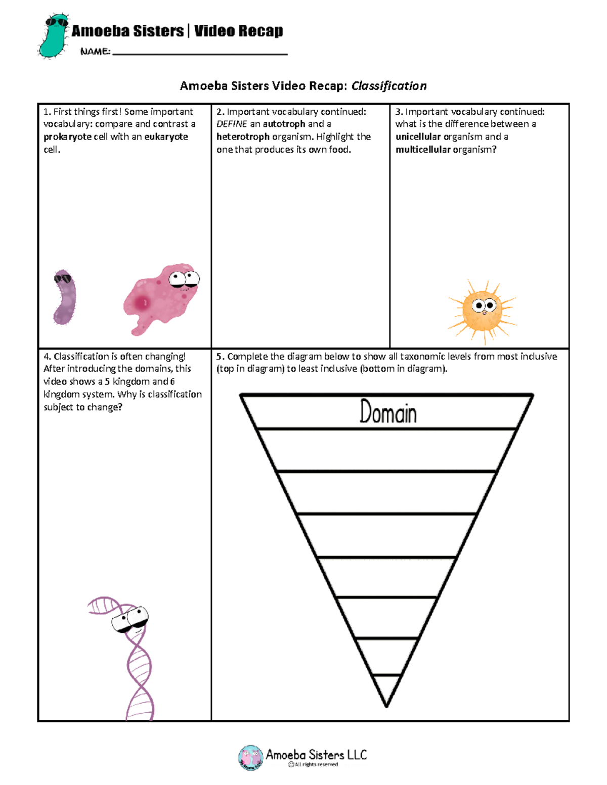 Amoeba Sisters Classification Video Recap: Key Concepts and Terms - Studocu
