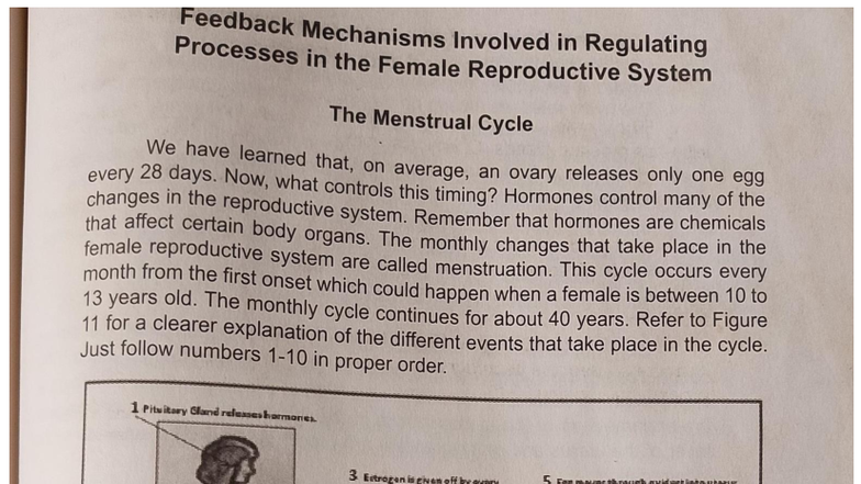 Processes in the Female Reproductive System: Feedback Mechanisms in ...