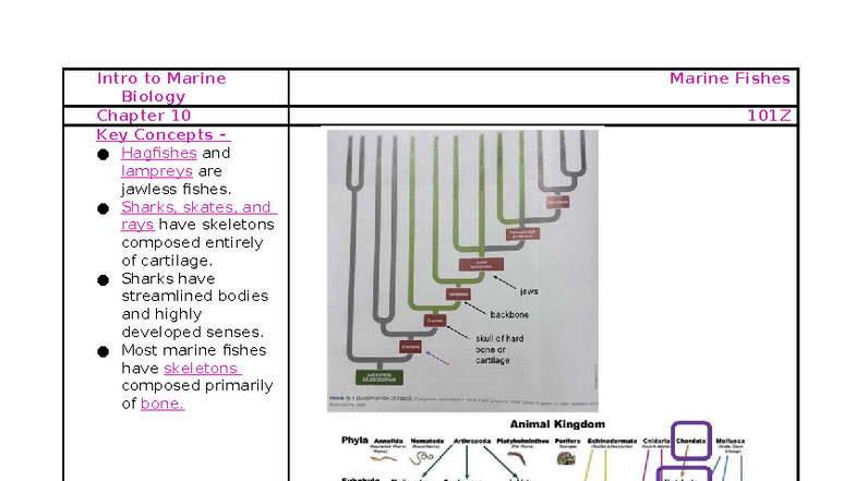 MSC 113 Final Exam Notes: Key Concepts in Marine Biology Chapter 10 ...