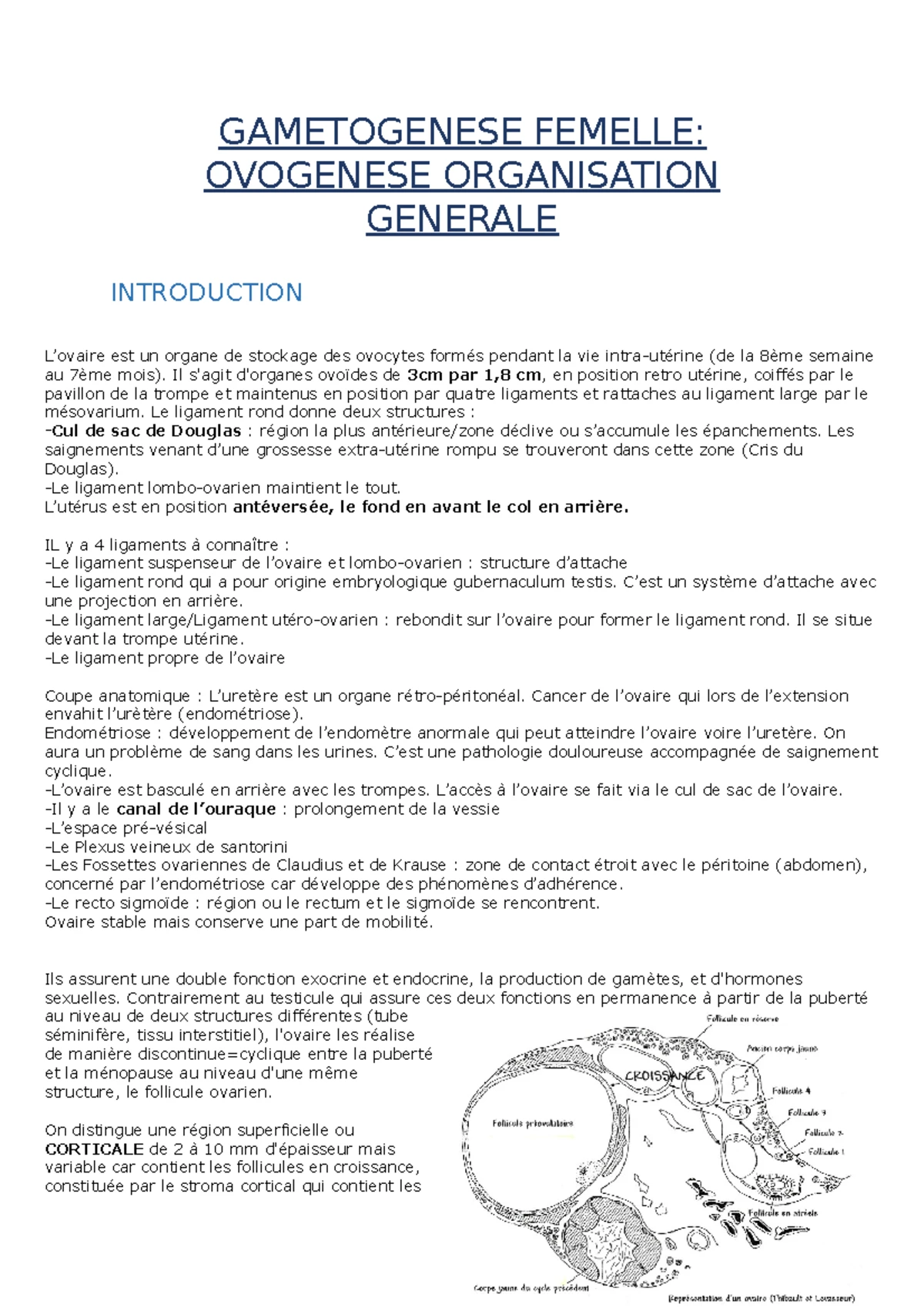 Cours sur l'ovogénèse - GAMETOGENESE FEMELLE: OVOGENESE ORGANISATION ...