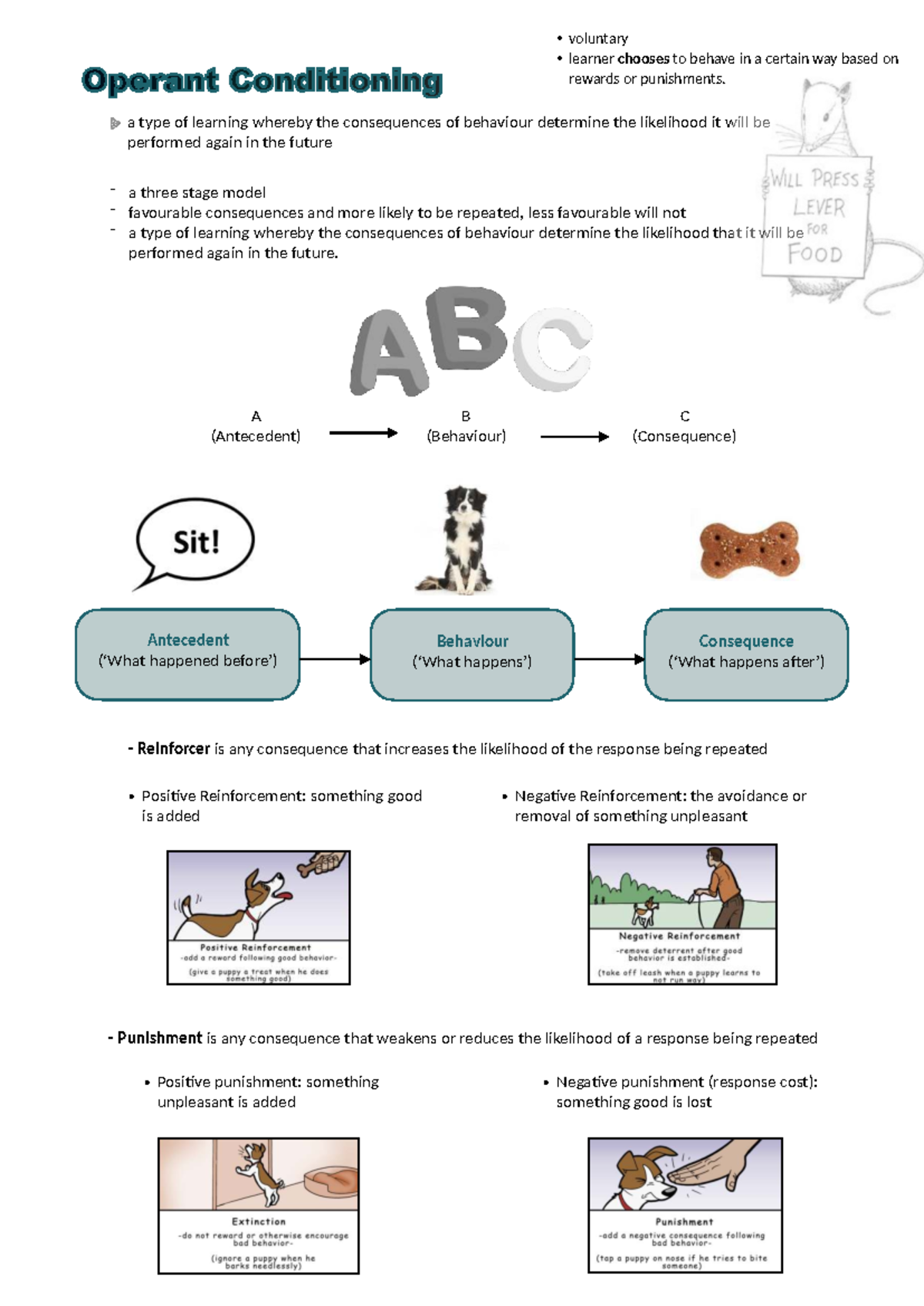 Unit 3 - Operant Conditioning: Understanding Behavior through Rewards ...