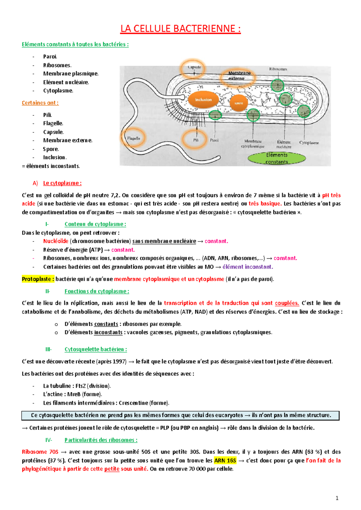 2. La Cellule Bactérienne : Structure et Fonctionnalités de Base - Studocu