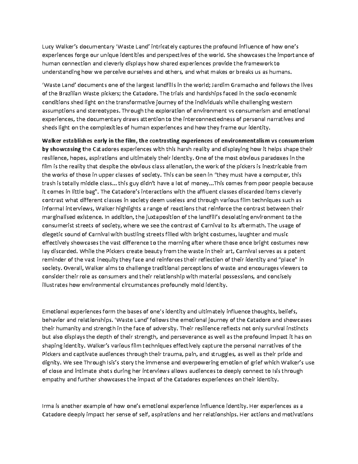 ENG 102: Waste Land Documentary Analysis and Identity Exploration Essay ...