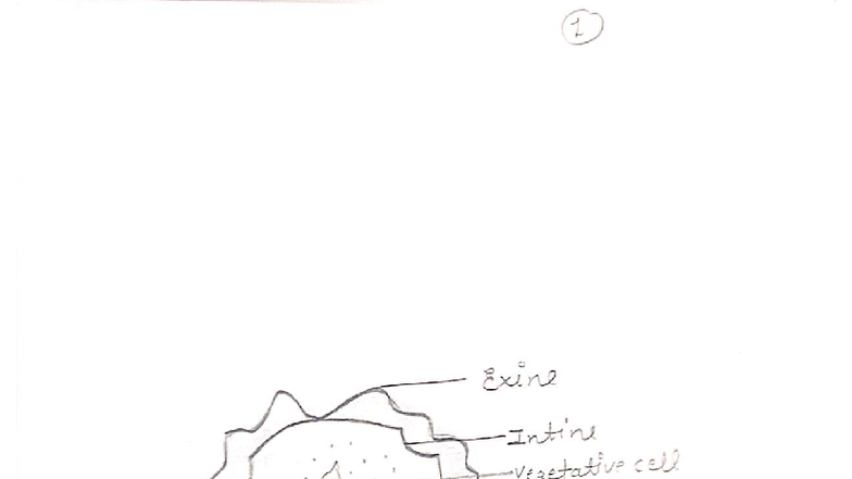 Class 12 Biology Lab Manual: Pollen Germination & Gamete Development ...