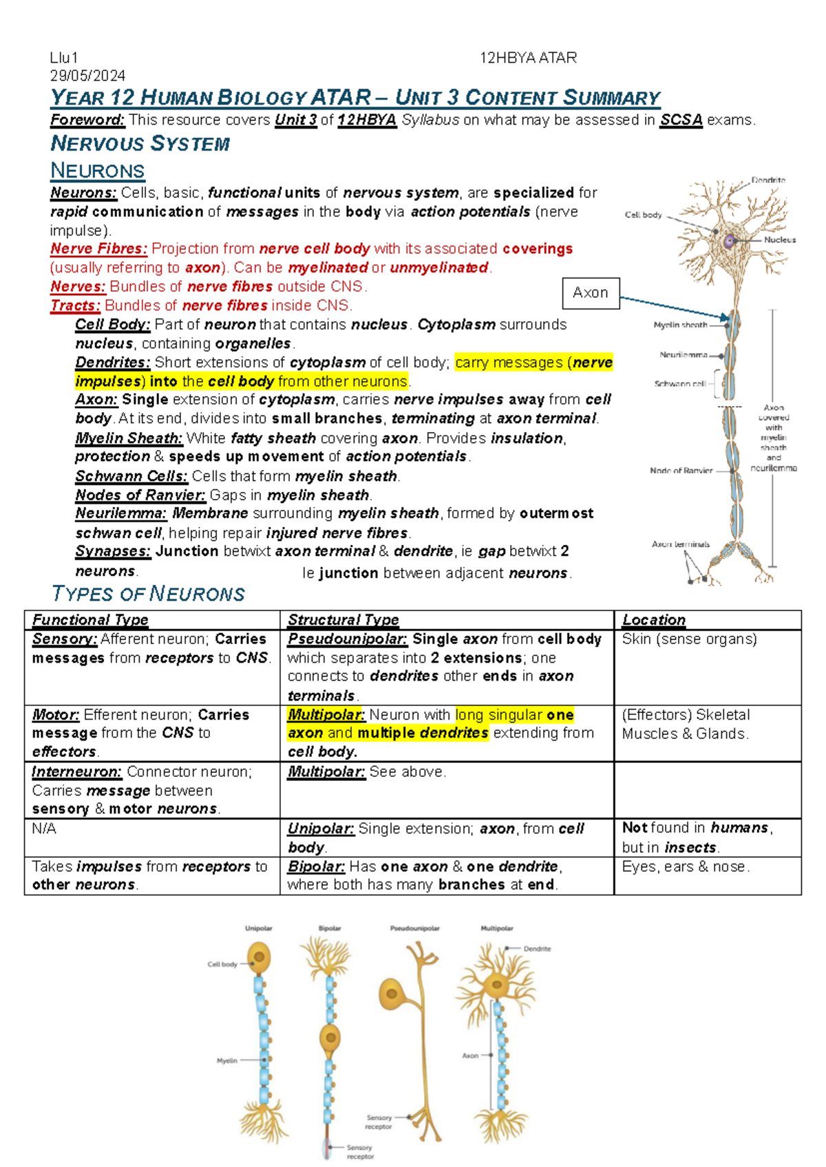 YEAR 12 HUMAN BIOLOGY ATAR UNIT 3 - NERVOUS SYSTEM NOTES - Studocu