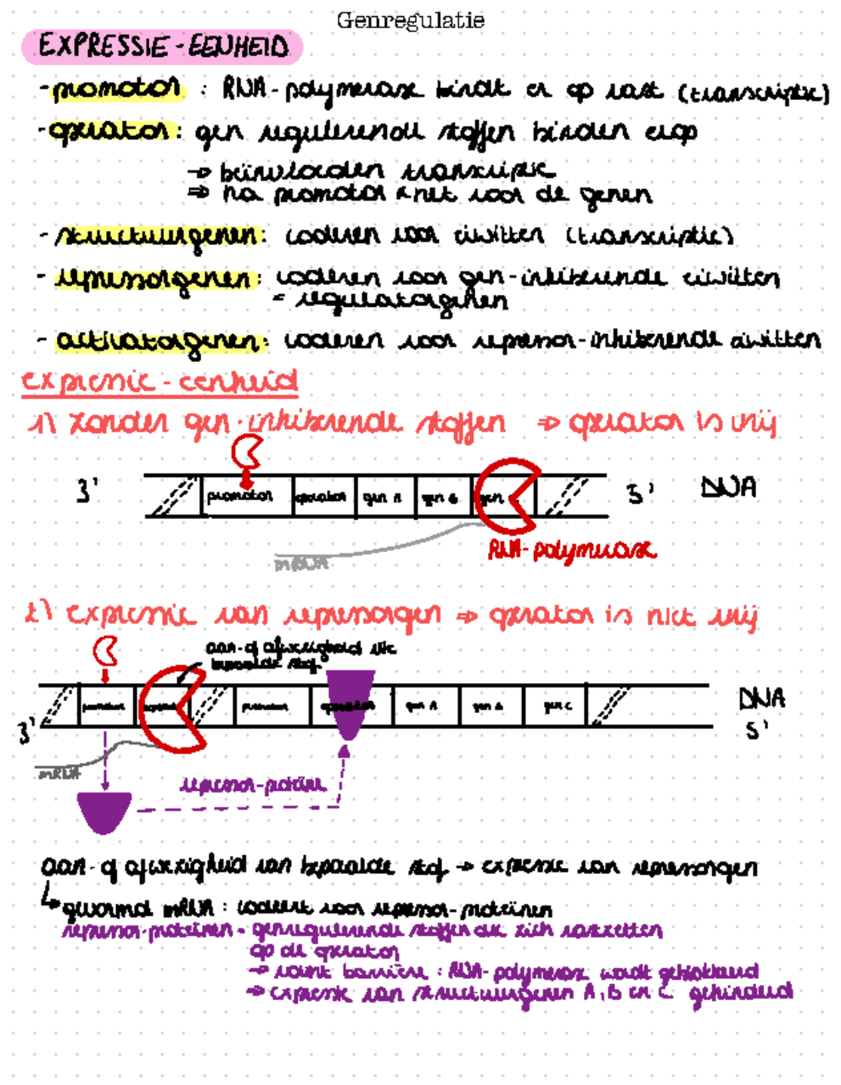 Genregulatie: Mechanismen van Transcriptie en Expressie Regulatie - Studocu