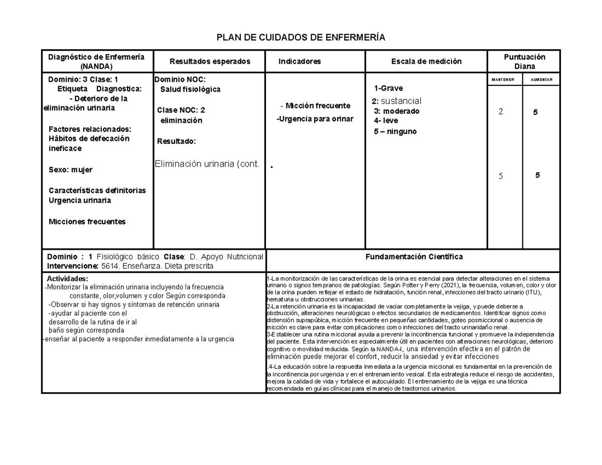 PAE: Plan de Cuidados de Enfermería para Deterioro Urinario - Studocu