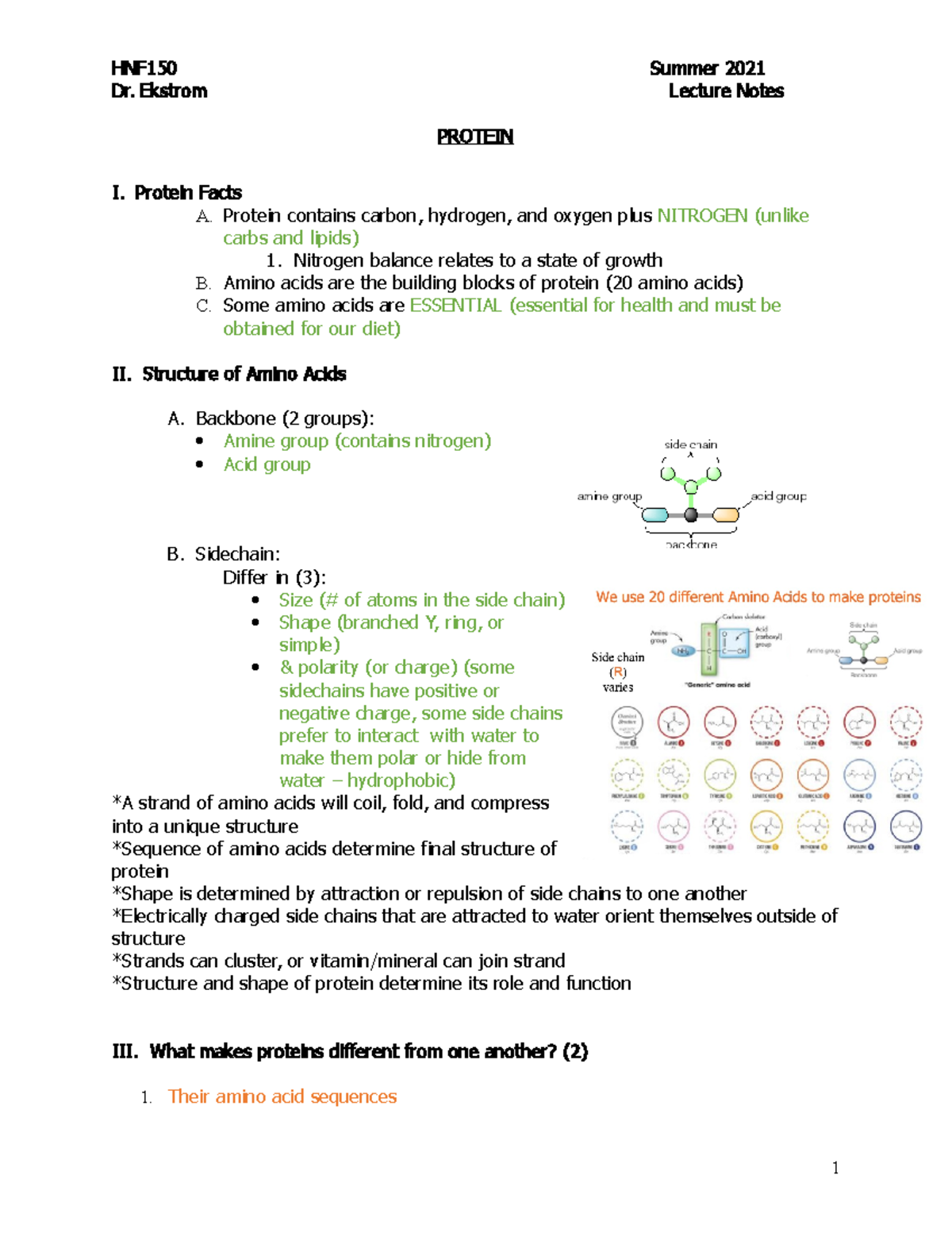 Week 3 Topic 1 Notes - Dr. Ekstrom Lecture Notes PROTEIN I. Protein ...