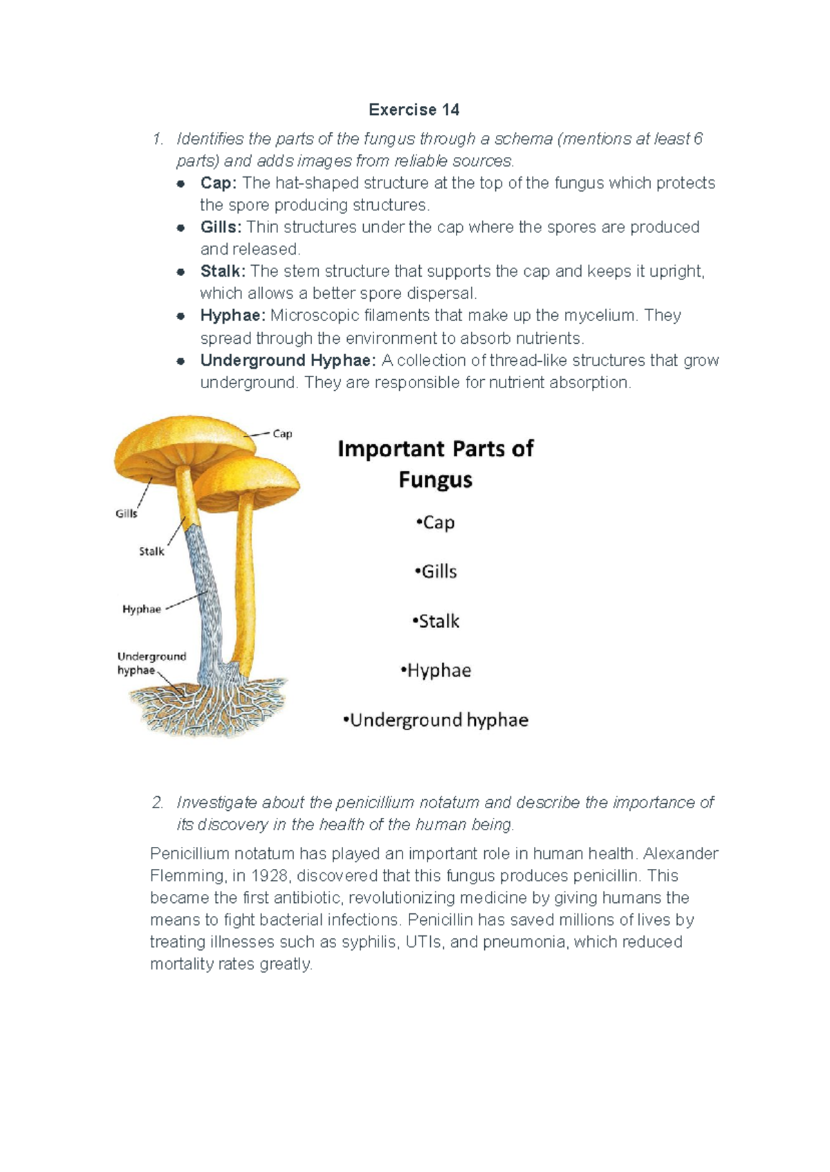 Exercise 14 - Actividad 14 Life Science - Exercise 14 Identifies the ...