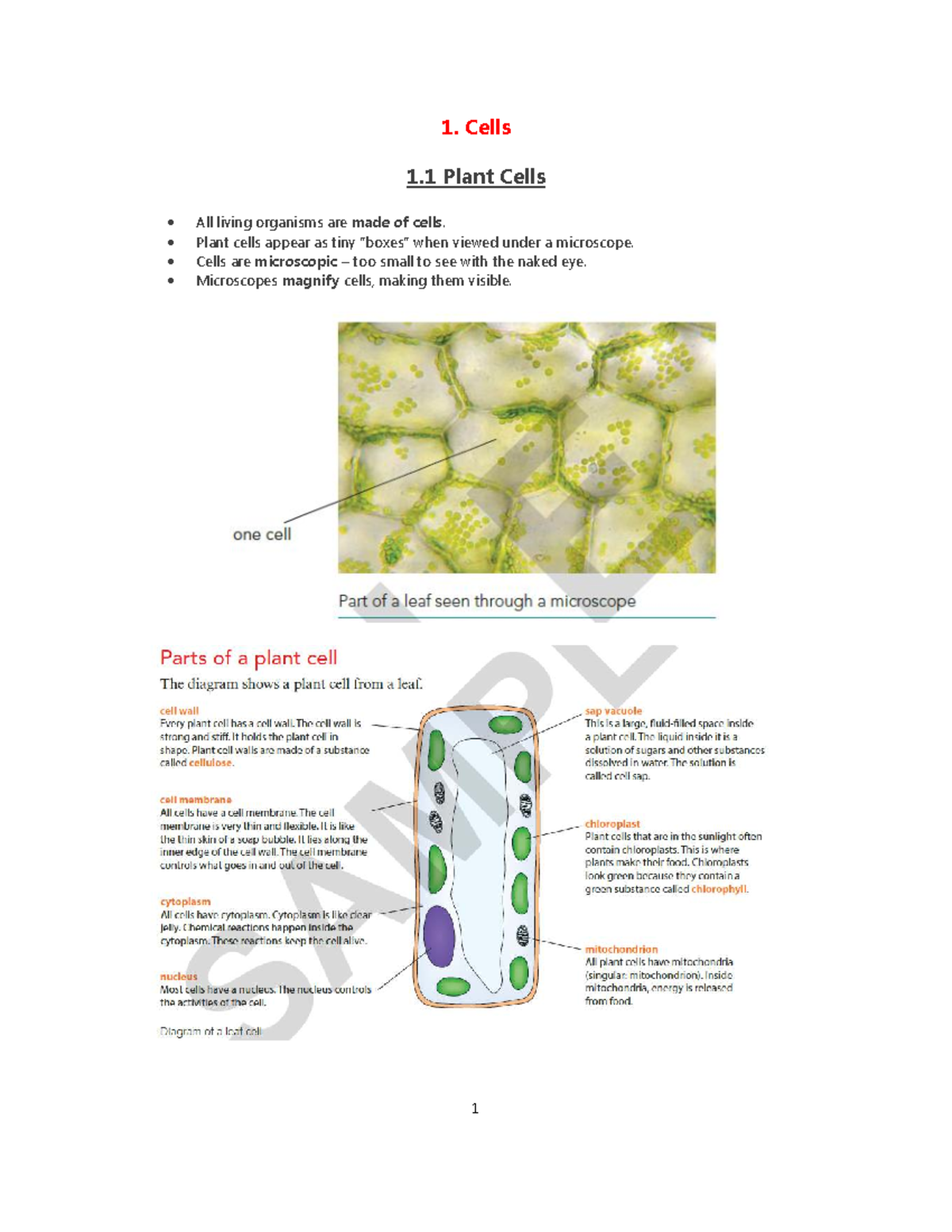 Grade 7 Science - Unit 1: Cells and Specialised Structures - Studocu