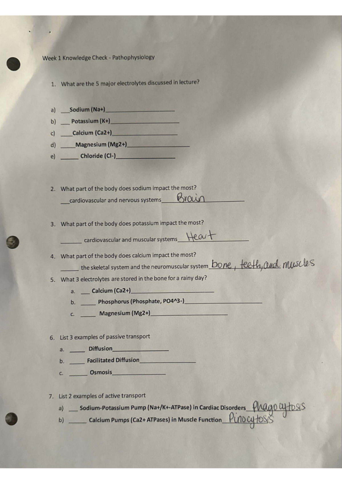 Knowledge check week 1 - pharm course work - Week 1 Knowledge Check ...