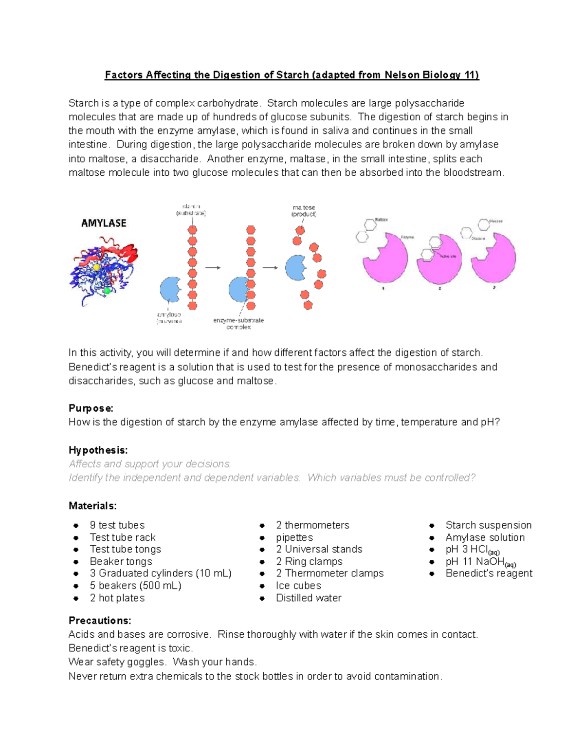 Factors Influencing Starch Digestion: Amylase Activity Study (Bio 11 ...