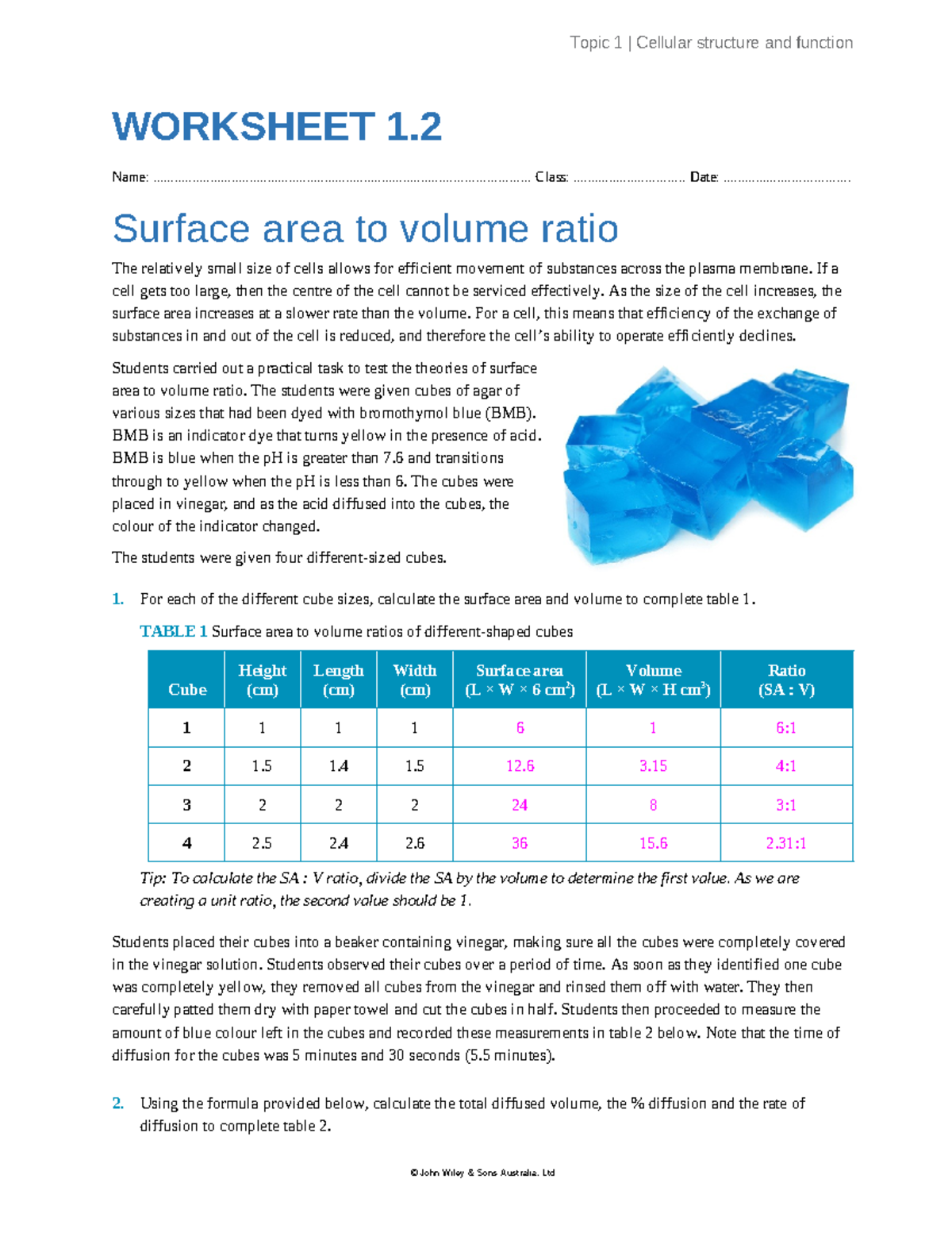 Ewbk-1: Cellular Structure & Function - Surface Area to Volume Ratio ...