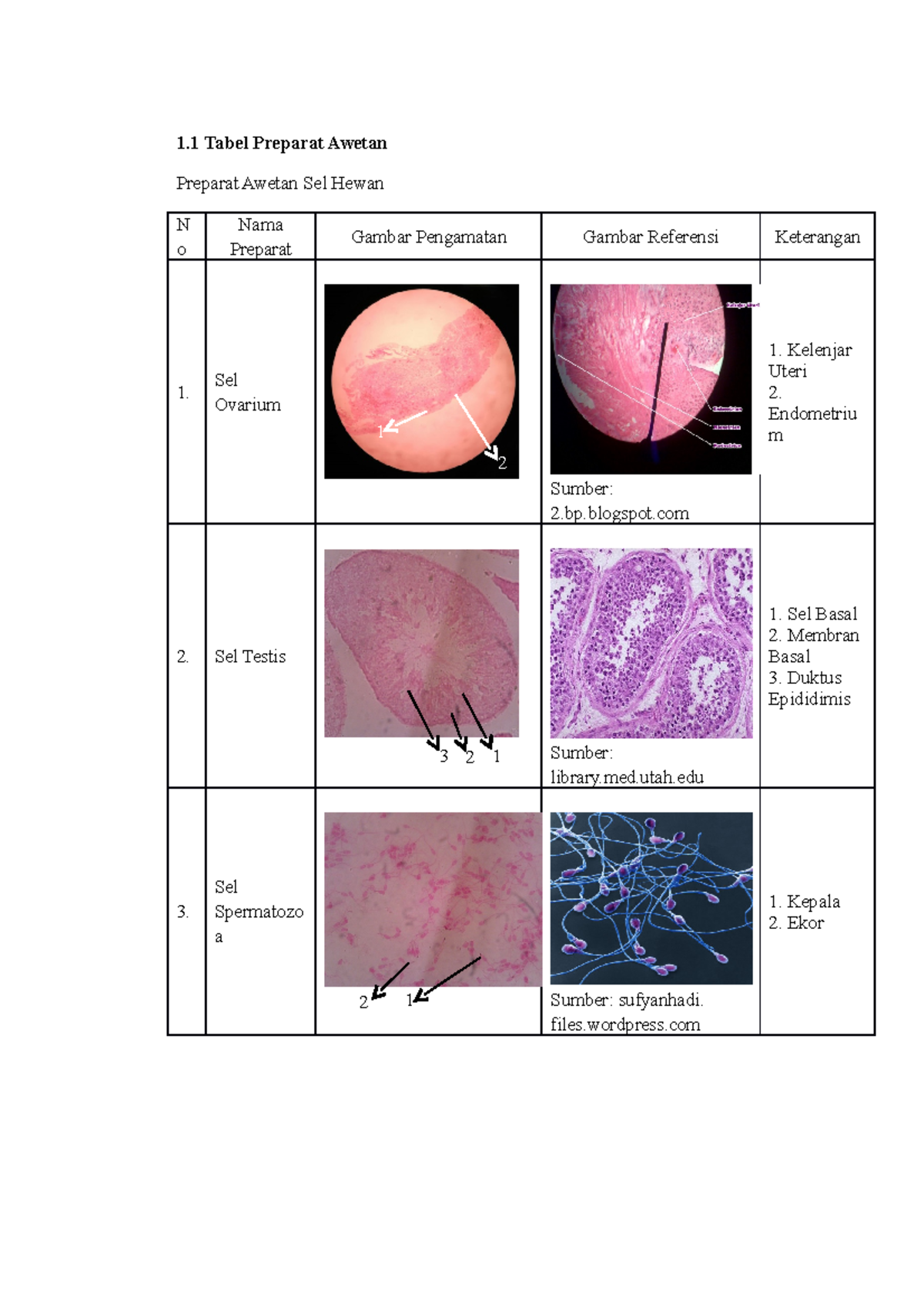 Tabel Preparat Awetan Sel Hewan dan Tumbuhan - Biologi 101 - Studocu