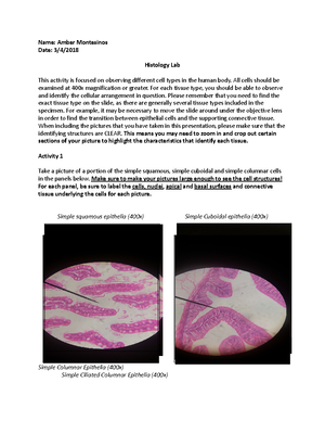 BIO2101 Introduction to Histology The Skin Answer sheet - Introduction ...