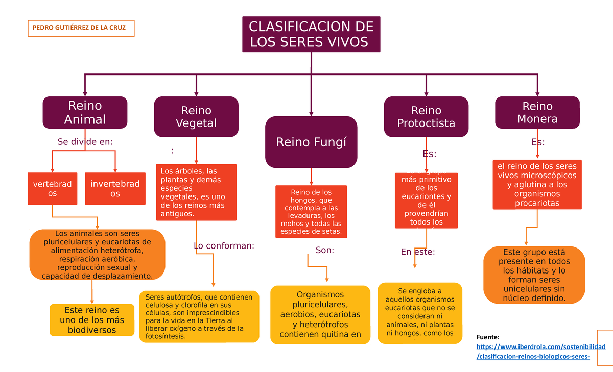 Mapa Conceptual De Las Celulas Vegetales Y Especies Y - Infoupdate.org