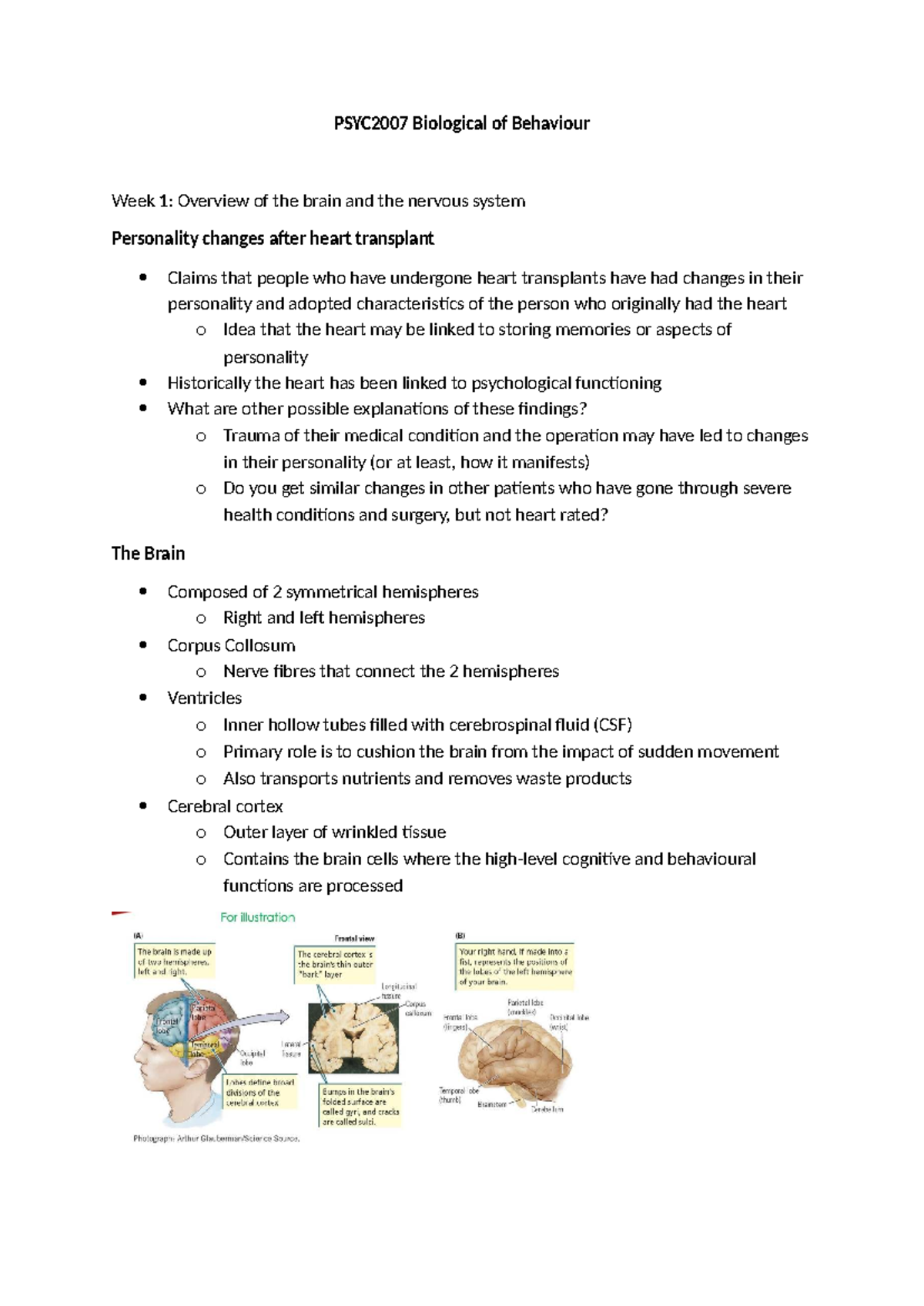 PSYC2007 Lecture Notes: Biological Basis of Behavior - Week 1 Overview ...