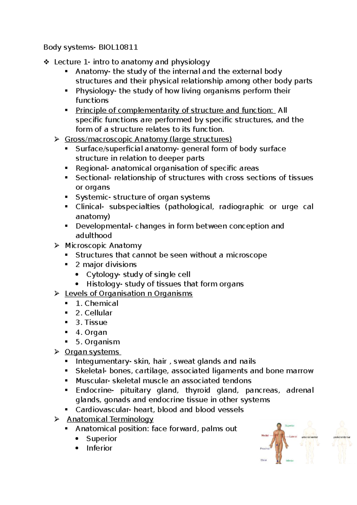 Body Systems Overview - BIOL 101 Lecture Summaries - Studocu