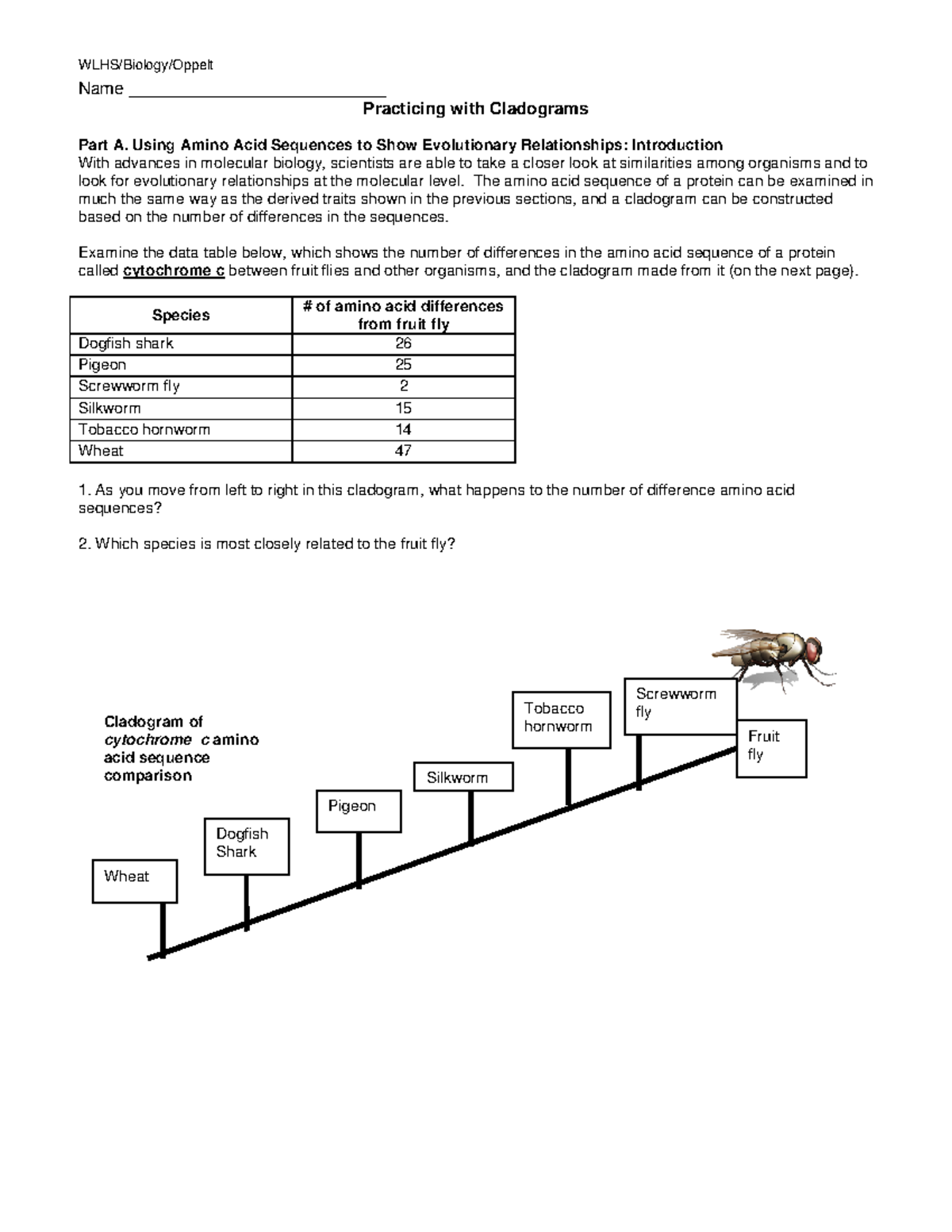 WLHS Biology: Practice Handout on Cladograms and Evolutionary ...