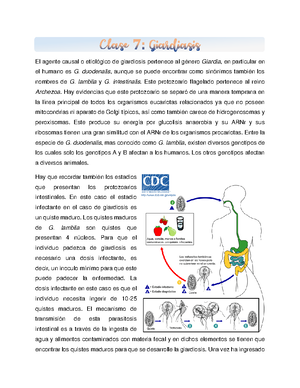 Fisiología de la Formación y características Generales de las heces ...