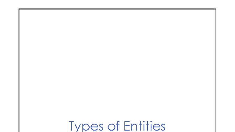 Types of Entities Overview - BEL 300 Learning Area 13 (2021) - Studocu
