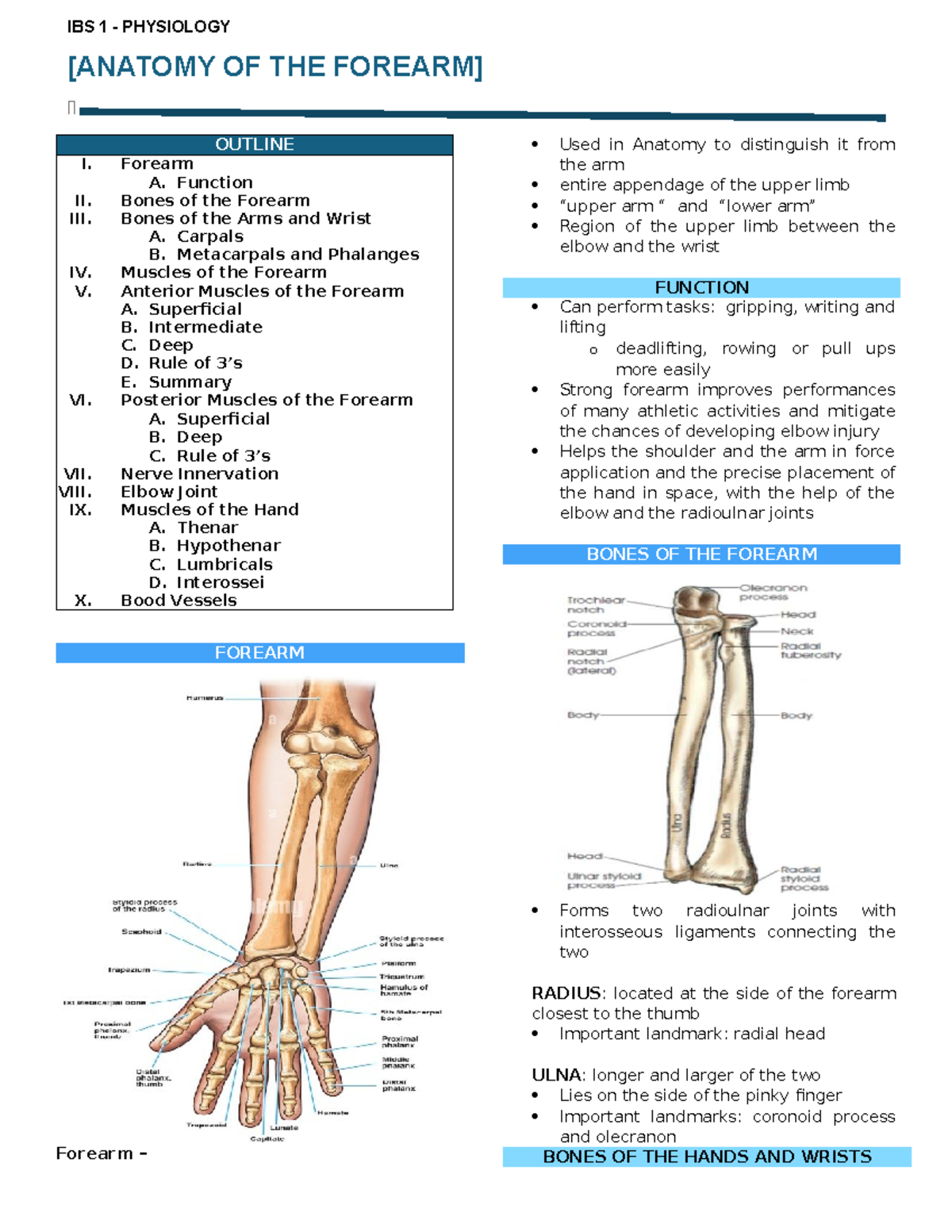 IBS 1 PHYSIOLOGY OF THE FOREARM: ANATOMY AND FUNCTION OUTLINE - Studocu