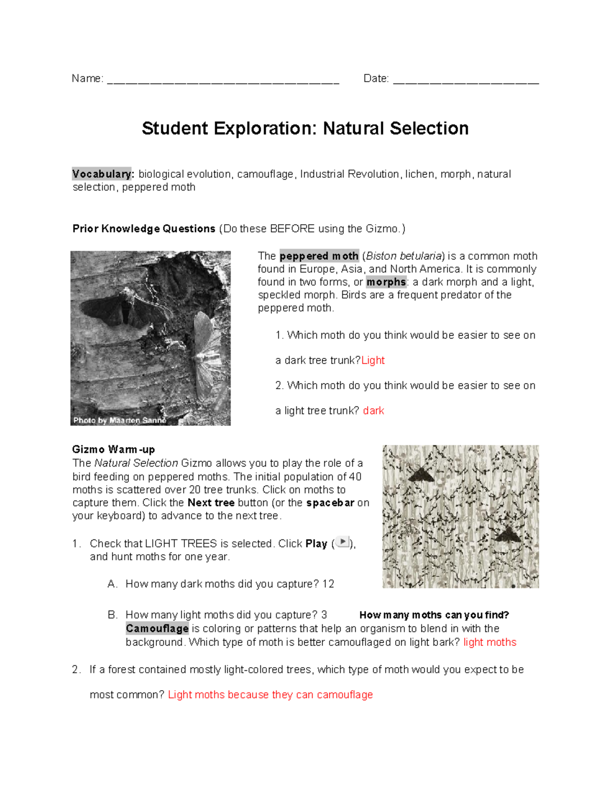 Student Exploration: Natural Selection - Study Guide for Biology - Studocu