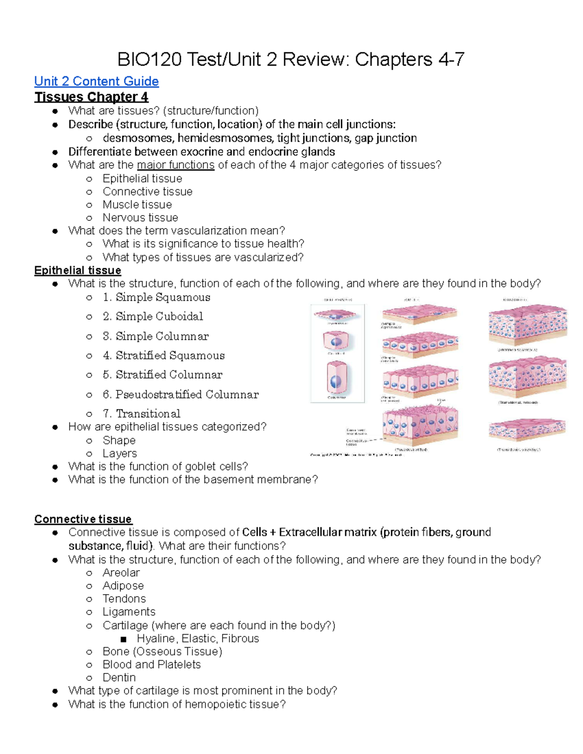 BIO120 Unit 2 Review: Tissues & Integumentary System Chapters 4-7 - Studocu