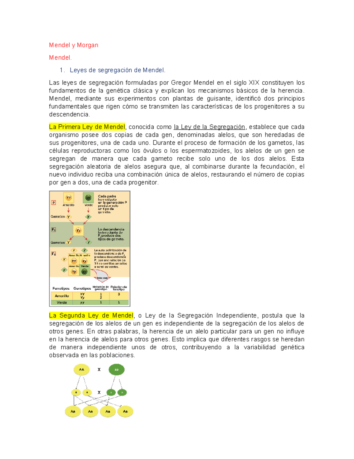 Mendel y Morgan: Fundamentos de Genética Clásica y Experimentos - Studocu