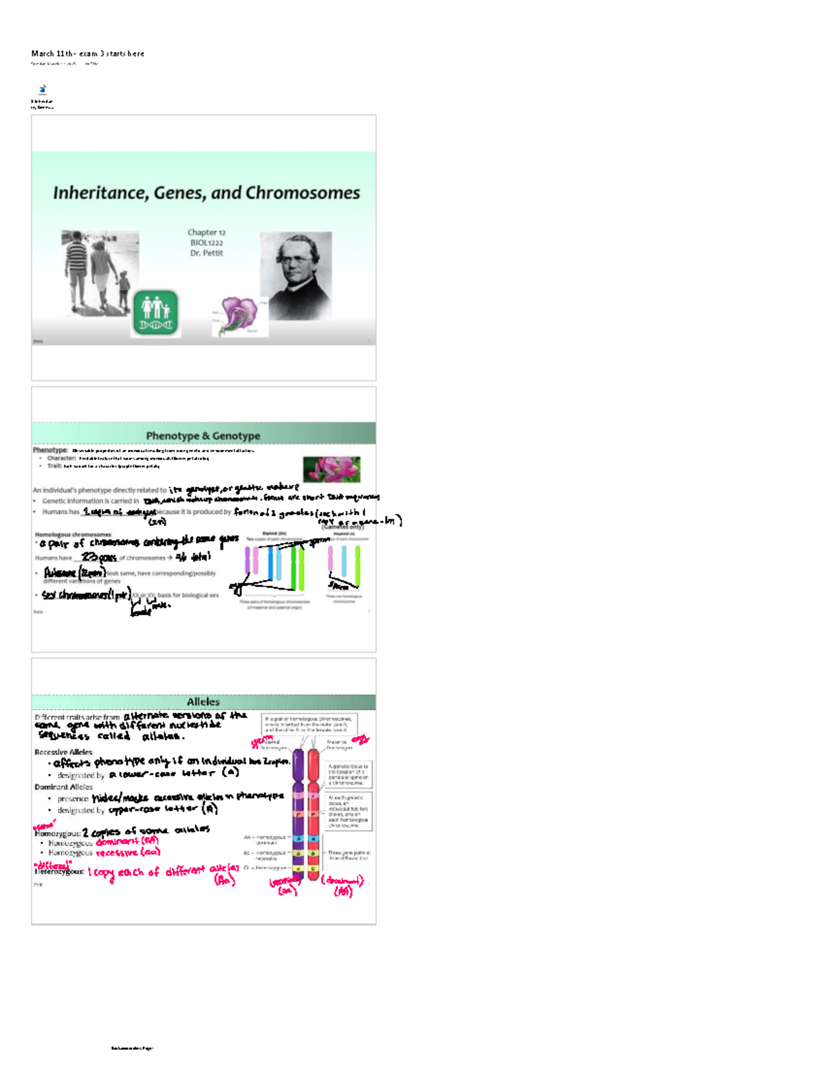 Biology 101: Exam 3 Lecture Notes on Inheritance and Genes - BIOL 1202 ...