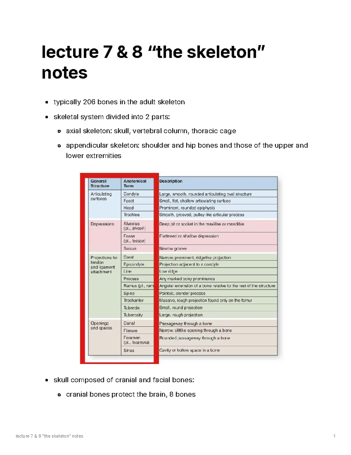 Lecture 7 & 8: The Human Skeleton Overview and Anatomy Notes - Studocu
