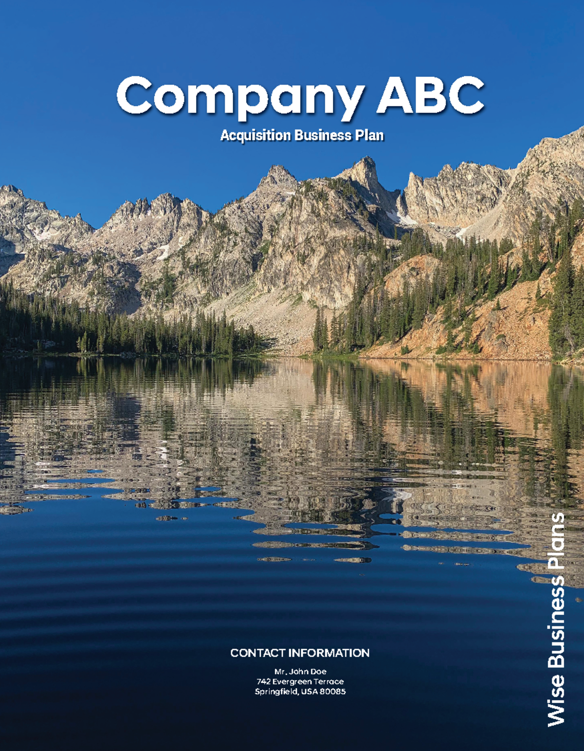 Acquisition Sample for Company ABC - Food & Beverage Business Plan ...