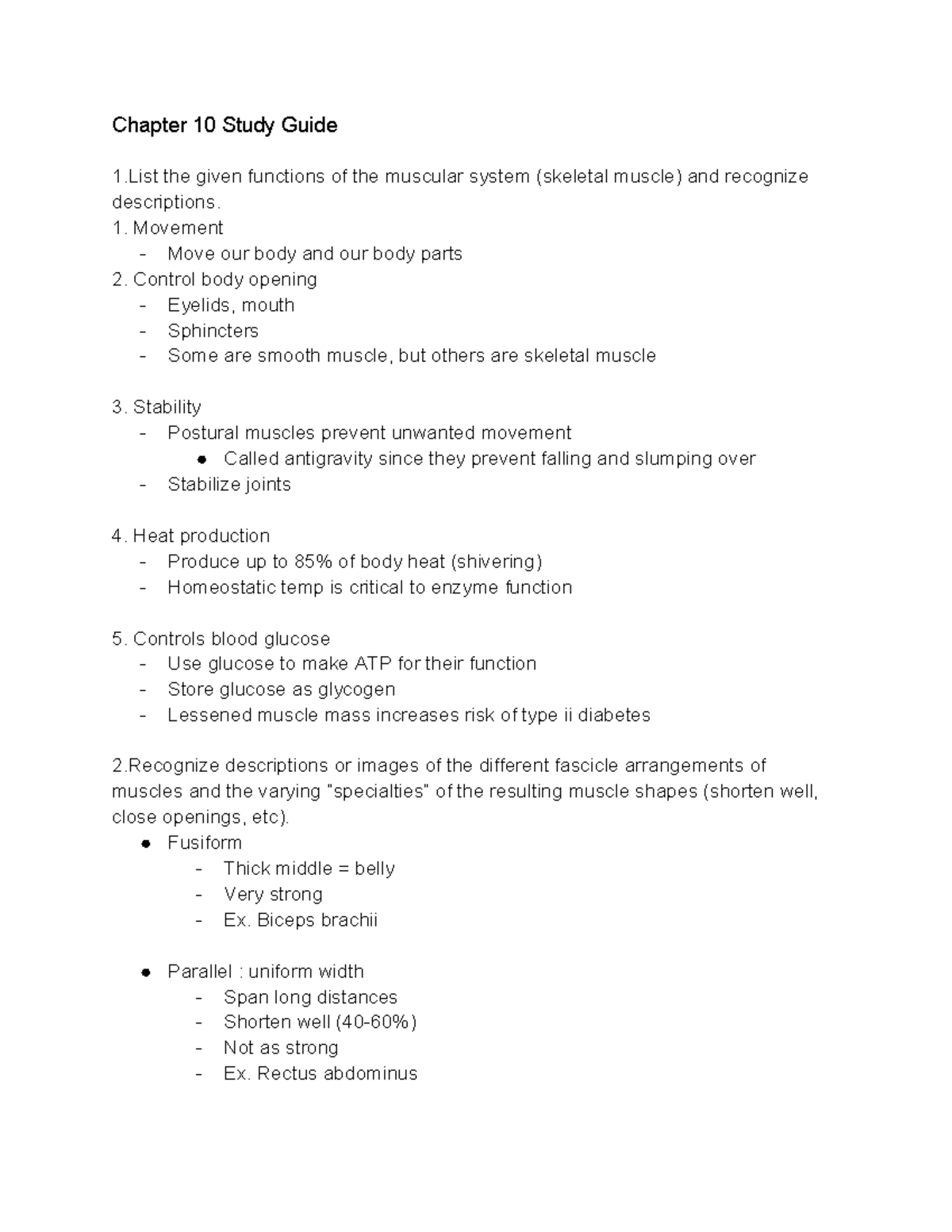 Muscular System Study Guide - Anatomy & Physiology (Chapter 10) - Studocu