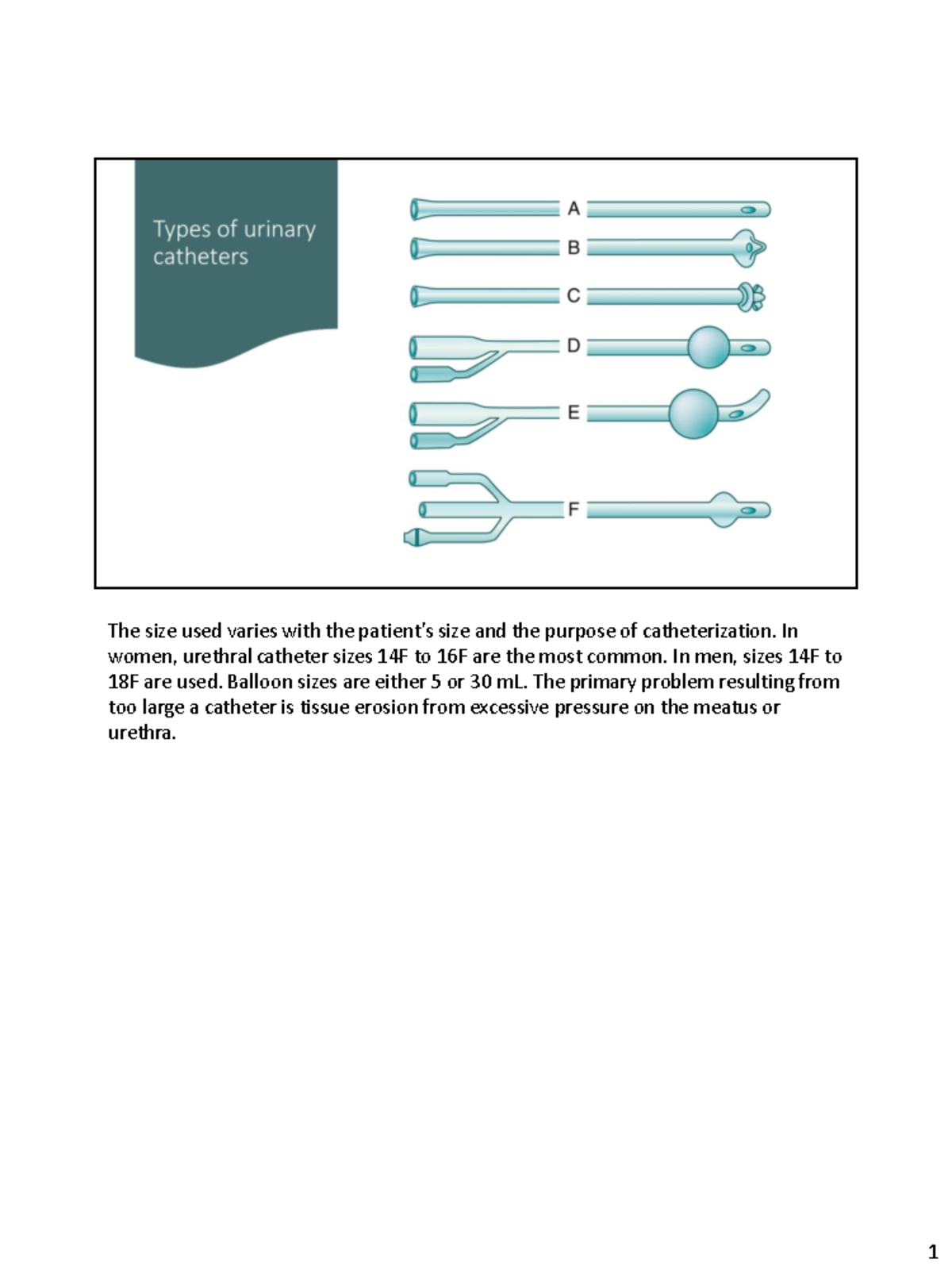 Urinary Catheters: Sizes, Complications, and Use Cases (F23) - Studocu