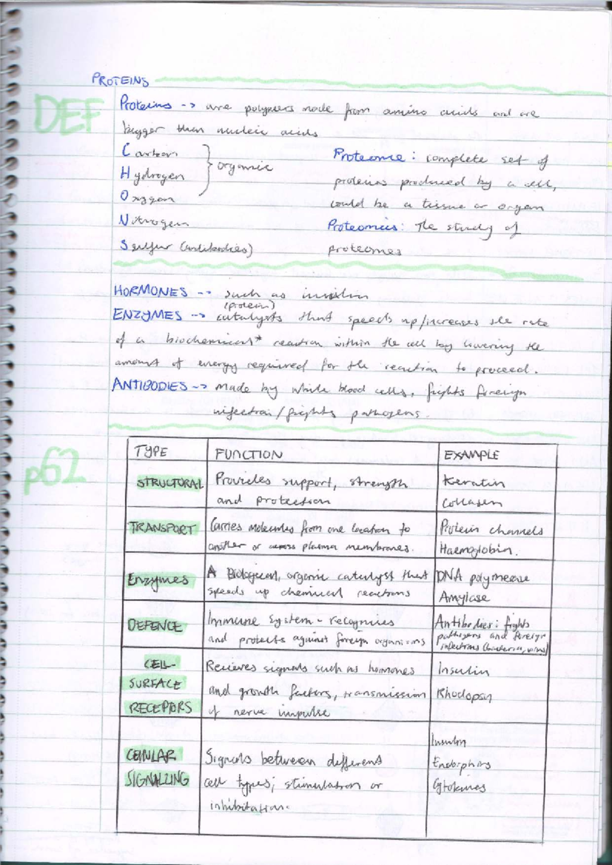Biology 101: Lecture Notes on Protein Structure and Synthesis - Studocu