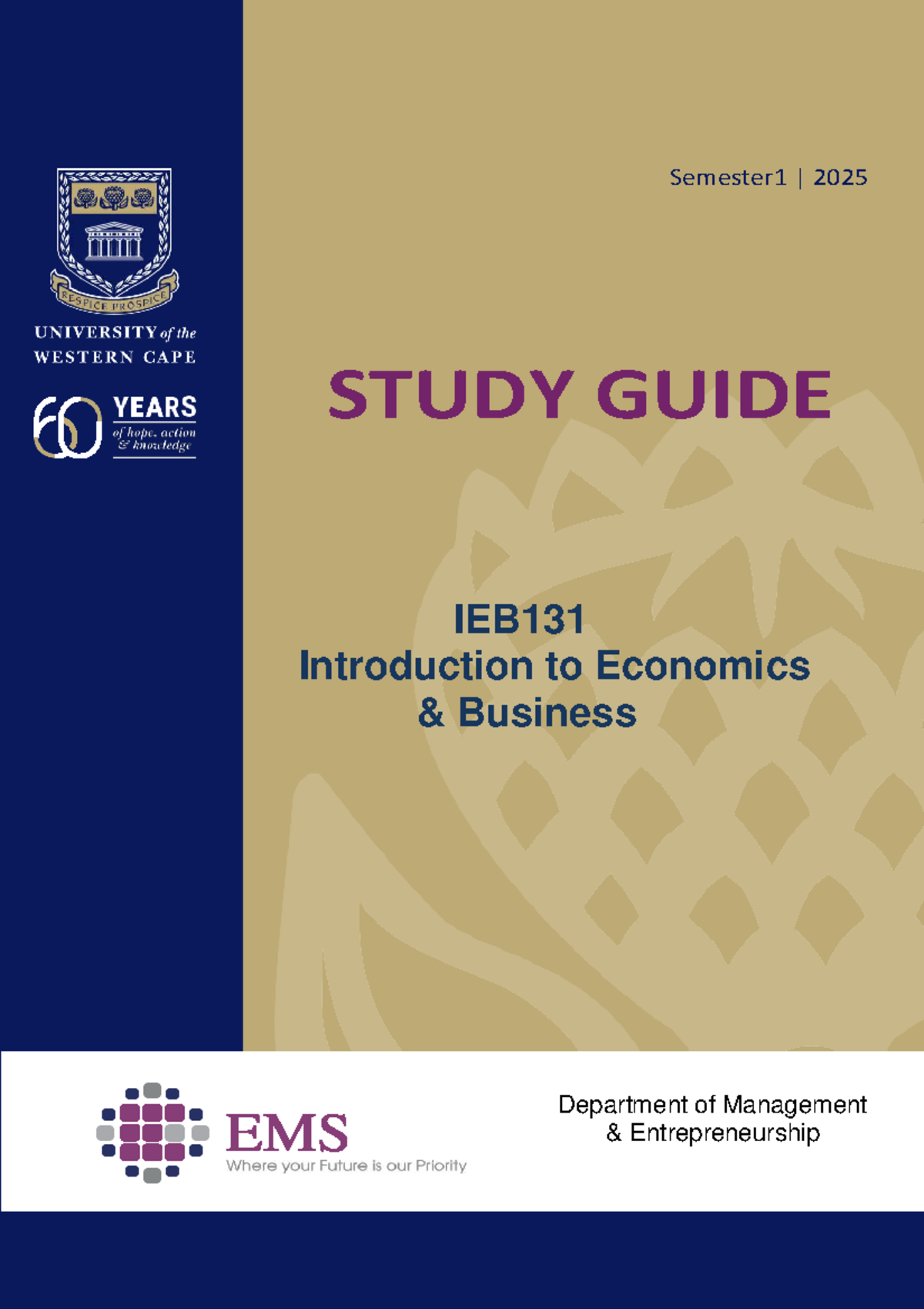 Study Guide for IEB131: Introduction to Economics - Semester 1, 2025 ...