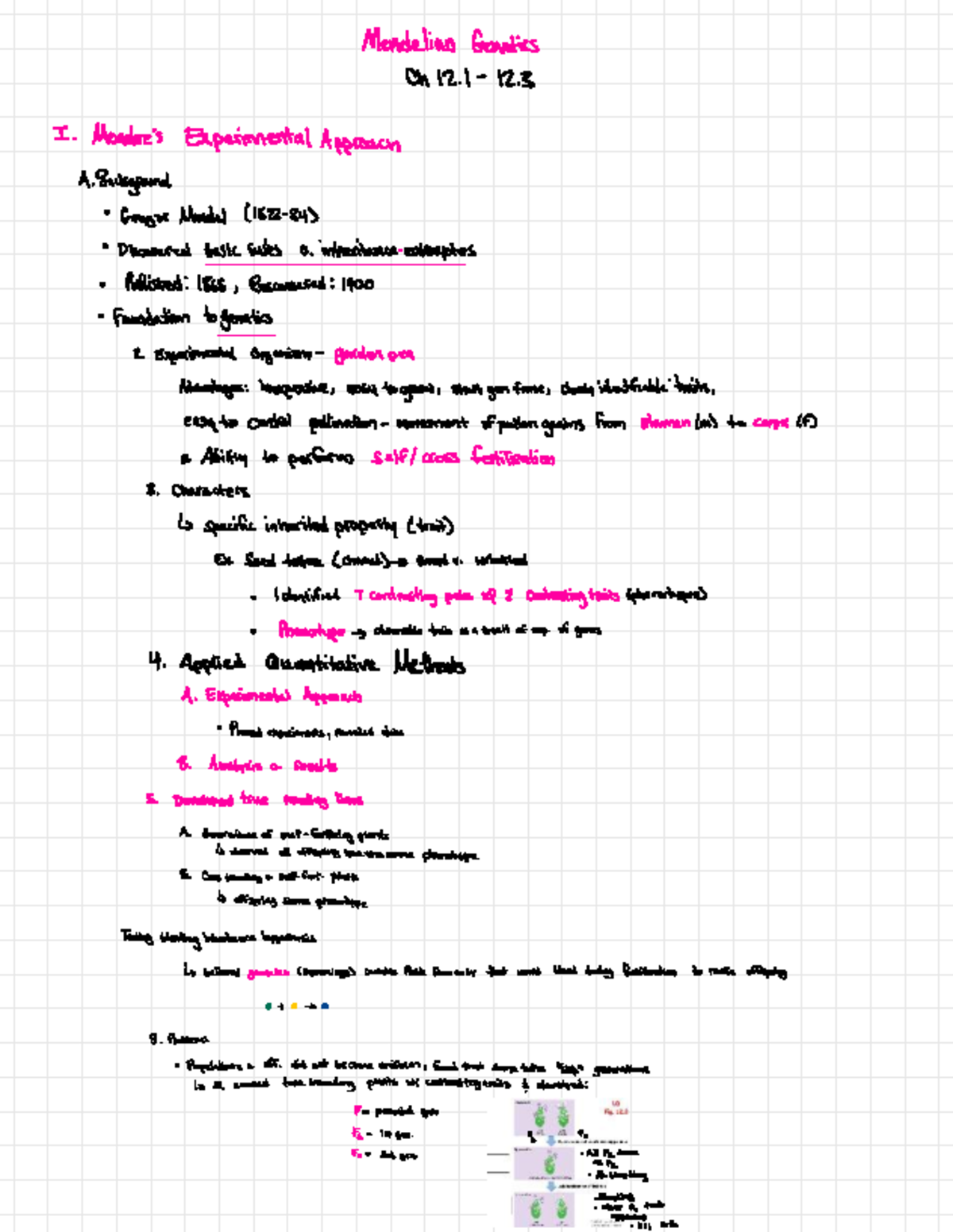 Mendelian Genetics Overview - Course Code: BIO101 Final Exam Notes ...