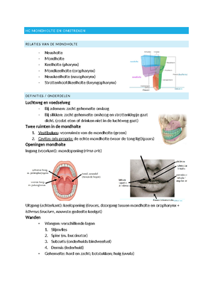 [Solved] wat is Processus alveolaris - Functionele Anatomie (MTI-1 ...
