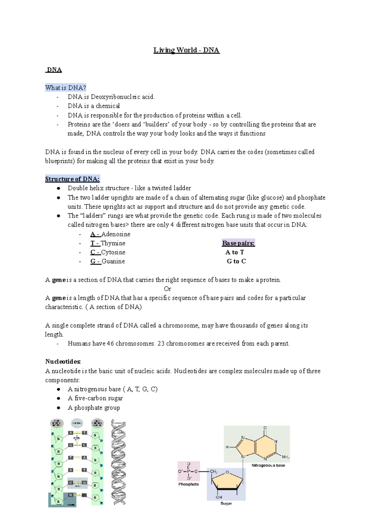 Term 2 - Living World - DNA and Cell Division Study Notes - Studocu