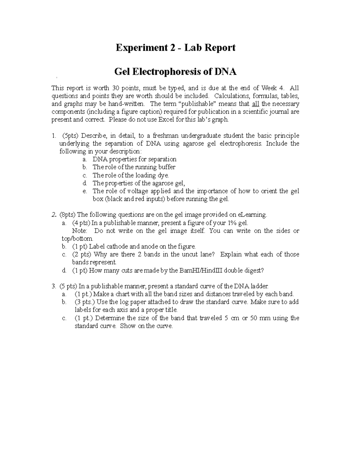 4380 E2 Lab Report questions - U21 - Experiment 2 - Lab Report Gel ...