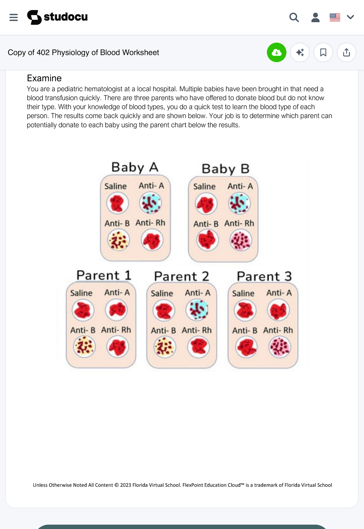 Physiology of Blood Worksheet - Physiology of Blood Worksheet Student ...