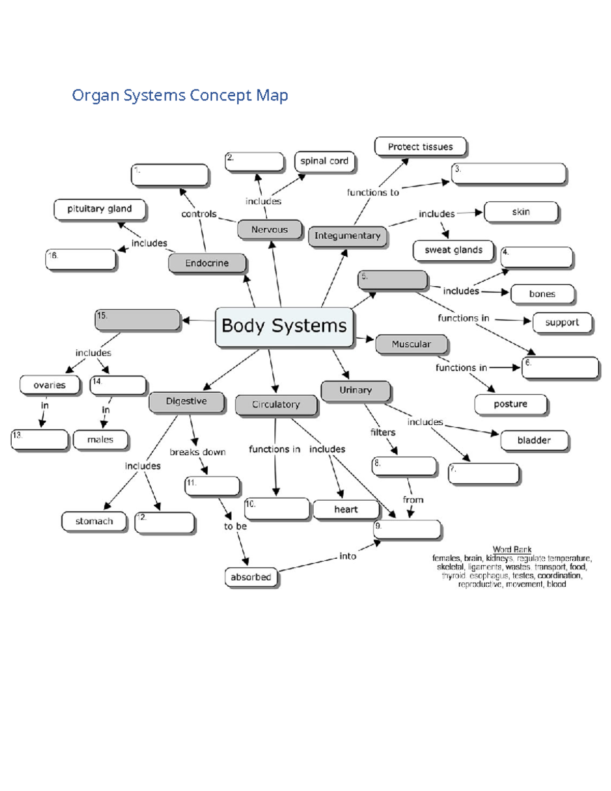 Organ Systems Concept Map - Overview of Body Functions - Studocu