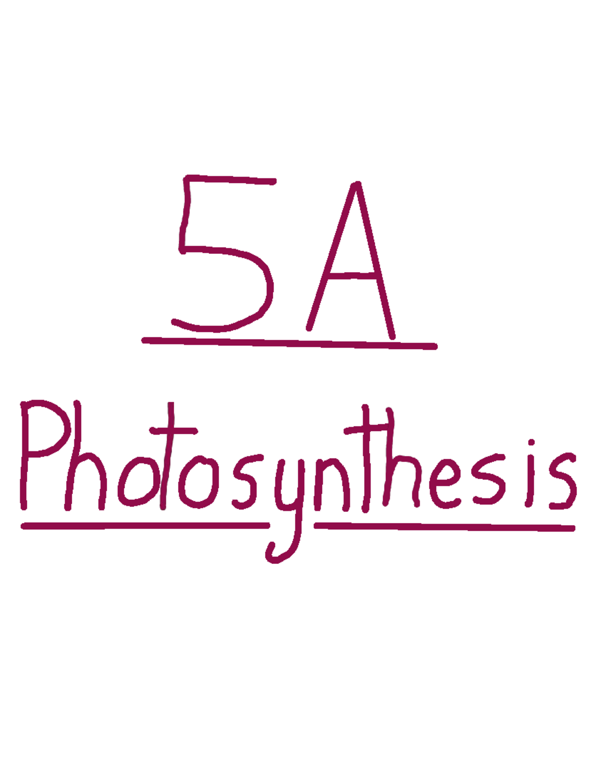 5A Photosynthesis - Summary of ATP and DNA Nucleotide Structures - Studocu