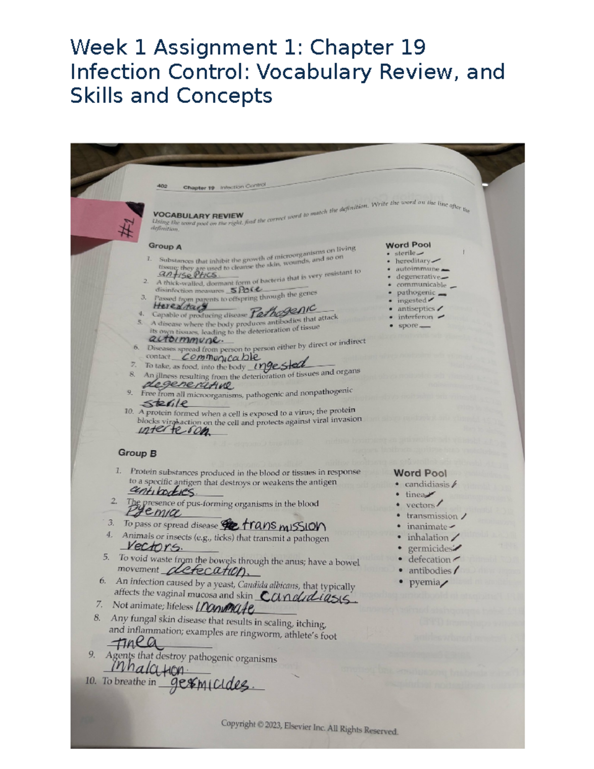 Doc390 - notes - ENC 1102 - Infection Control: Vocabulary Review, and ...